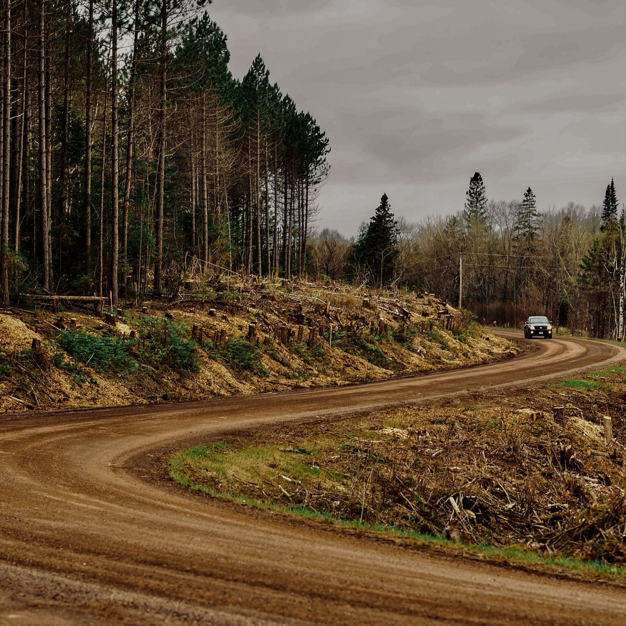 Registration for Roger Albert Clark Rally 2025 Is Opened!